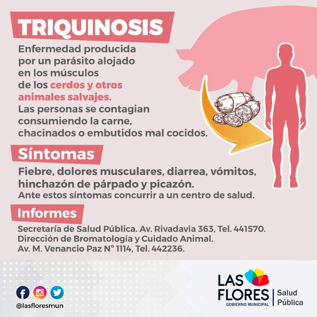TRIQUINOSIS – MEDIDAS DE PREVENCIÓN Y CONTROL – LasFloresDigital